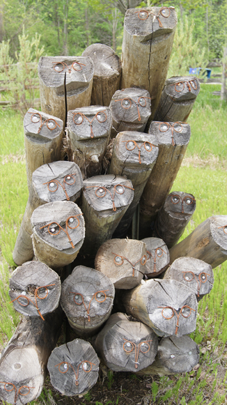 The magic of gardens – The Creemore Echo