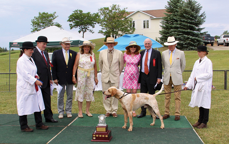 TNYH hosts 63rd Canadian Foxhound Show – The Creemore Echo