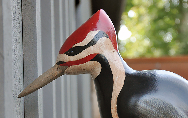 Arts Fest: The Conscientious Effort of Jim Harkness – The Creemore Echo