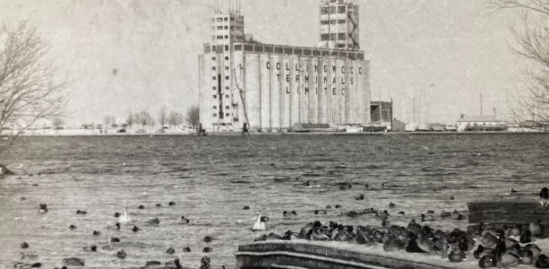 Collingwood grain terminal proposal includes public rooftop access ...