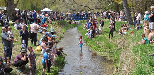 Clearview launches Strategic Plan dashboard – The Creemore Echo