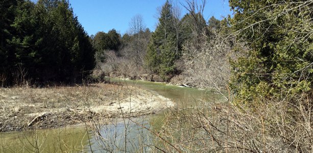 New Ganaraska Hiking Trail guide available – The Creemore Echo